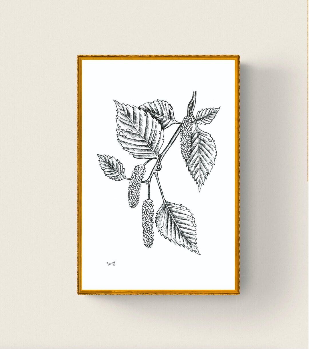 Ink Drawing • Botanical • Hazelnut • Printable Art • Digital File ...