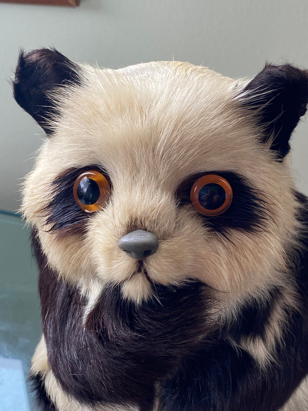 Thinking Panda Bear Mink Fur - Etsy