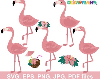 Flamingo svg | Etsy