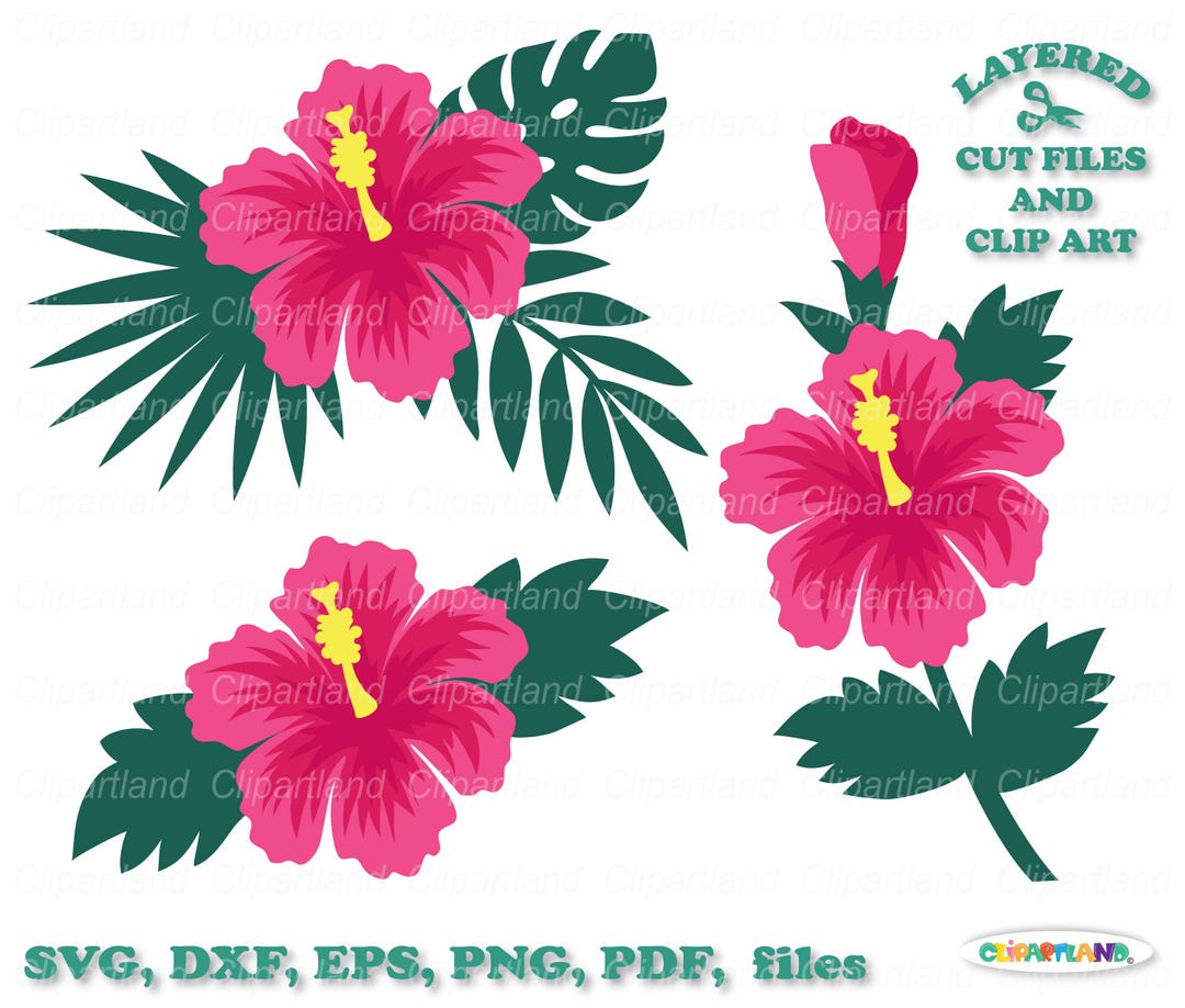 INSTANT Download. Hibiscus Flower Svg Cut File and Clip Art. Personal ...