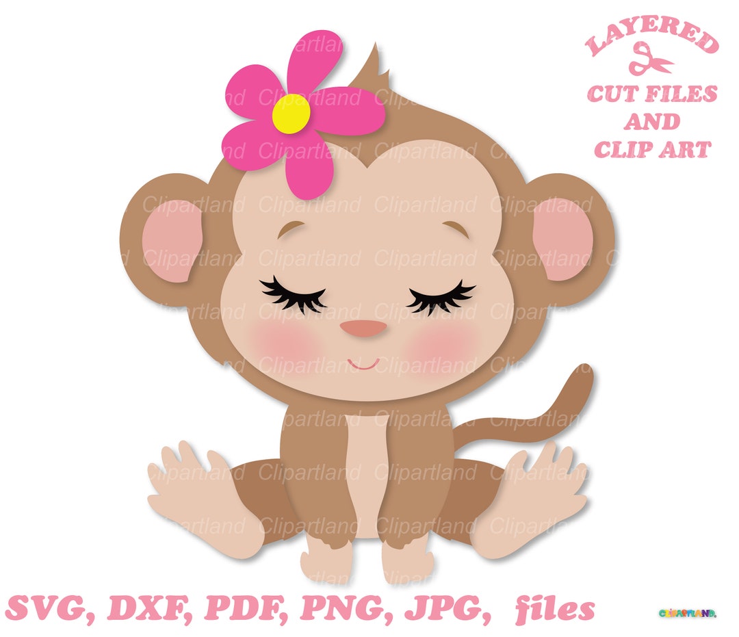 Cute Monkey Clipart, Layered Cut Files (SVG, PNG, PDF) - Etsy