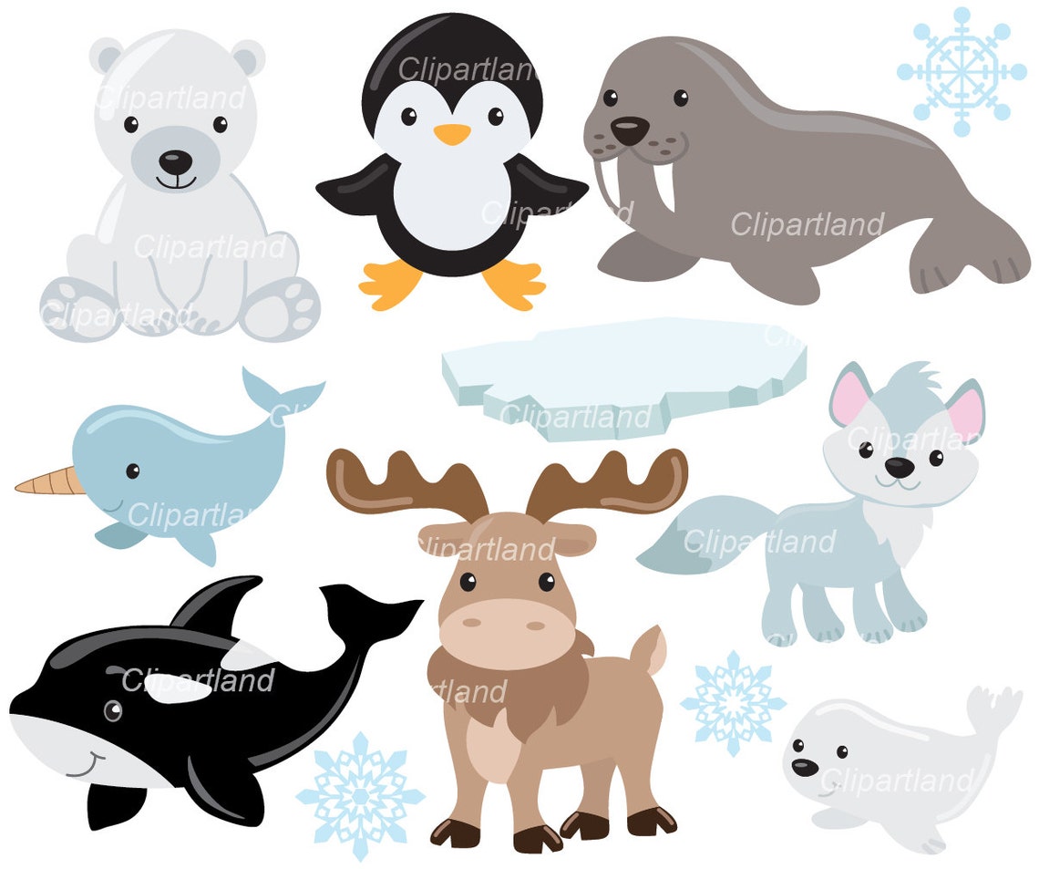 INSTANT Download. Arctic Animals Clip Art. Caa_3. Personal and ...