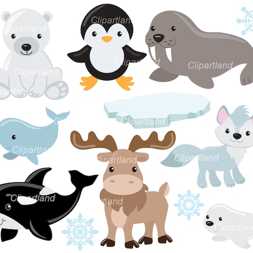 INSTANT Download. Arctic Animals Clip Art. Caa_3_bw. Personal | Etsy