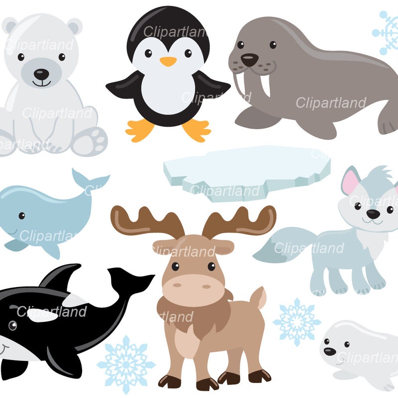 My Arctic Animals - Etsy