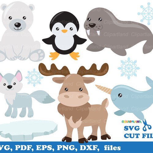 INSTANT Download. Arctic Animals Clip Art. Caa_3. Personal and - Etsy