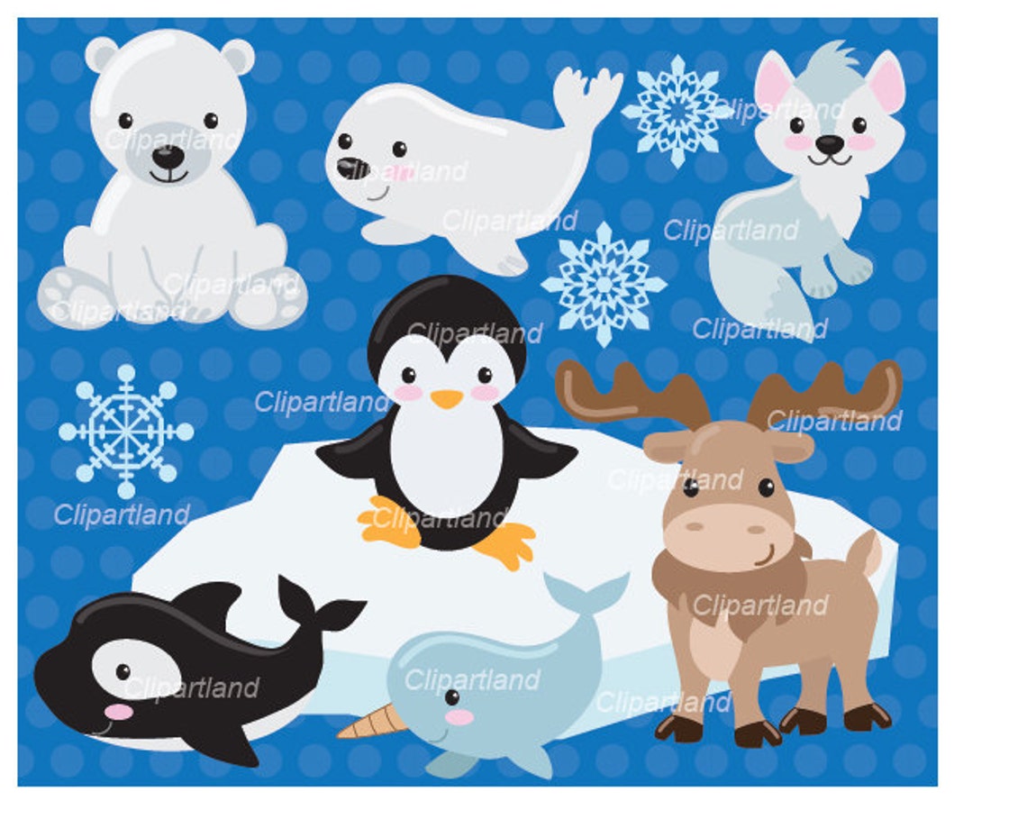 INSTANT Download. Arctic Animals Clip Art. CAA_1. Personal and | Etsy