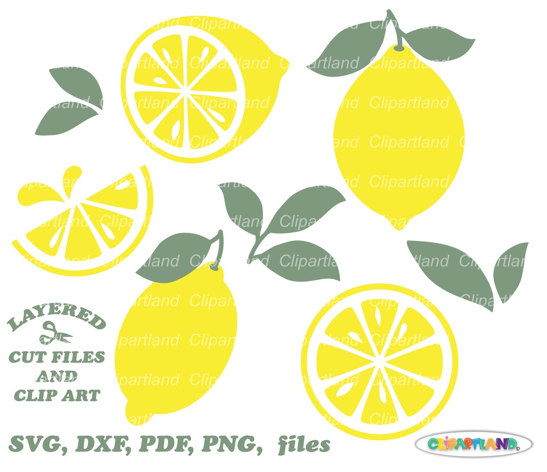 INSTANT Download. Juicy Lemon Svg Cut File and Clip Art. Commercial ...