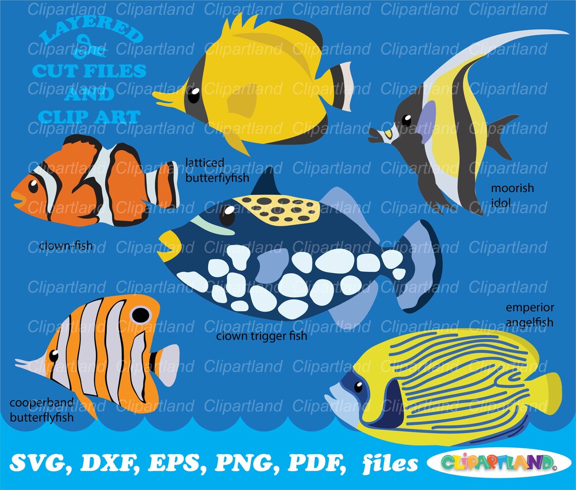 INSTANT Download. Sea Fish Svg Cut File and Clip Art. - Etsy