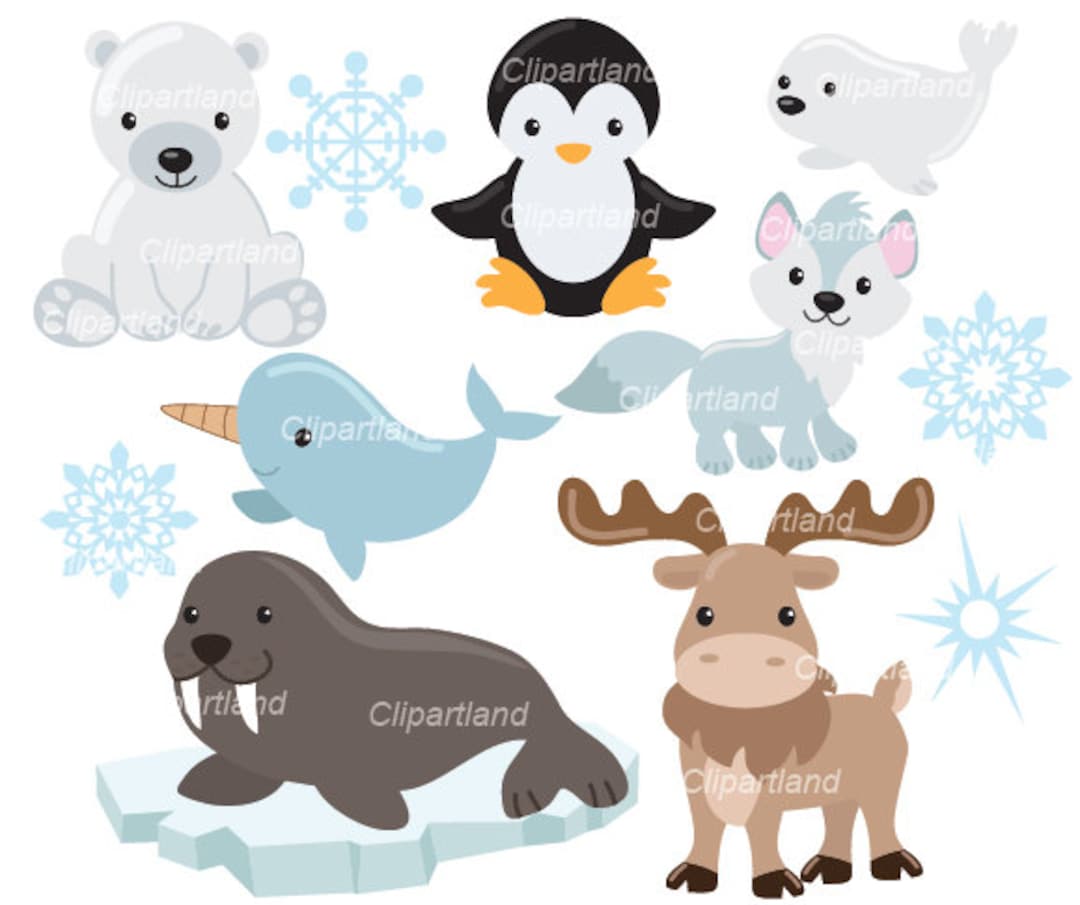 INSTANT Download. Arctic Animals Clip Art. CAA_2. Personal and - Etsy