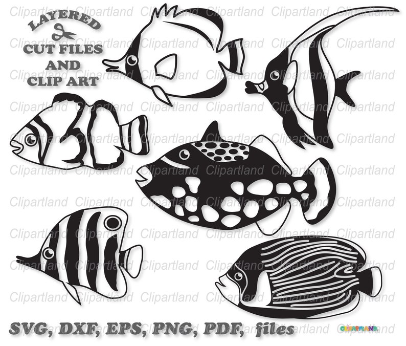 INSTANT Download. Sea Fish Svg Cut File and Clip Art. Commercial ...