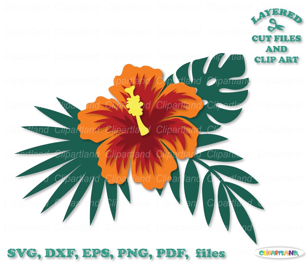 INSTANT Download. Hibiscus Flower Cut Files and Clip Art. Commercial ...