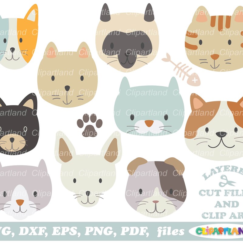 Cute Cat Faces - Etsy