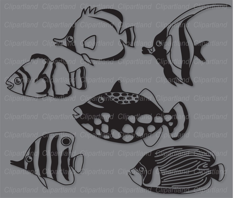 INSTANT Download. Sea Fish Svg Cut File and Clip Art. Commercial ...