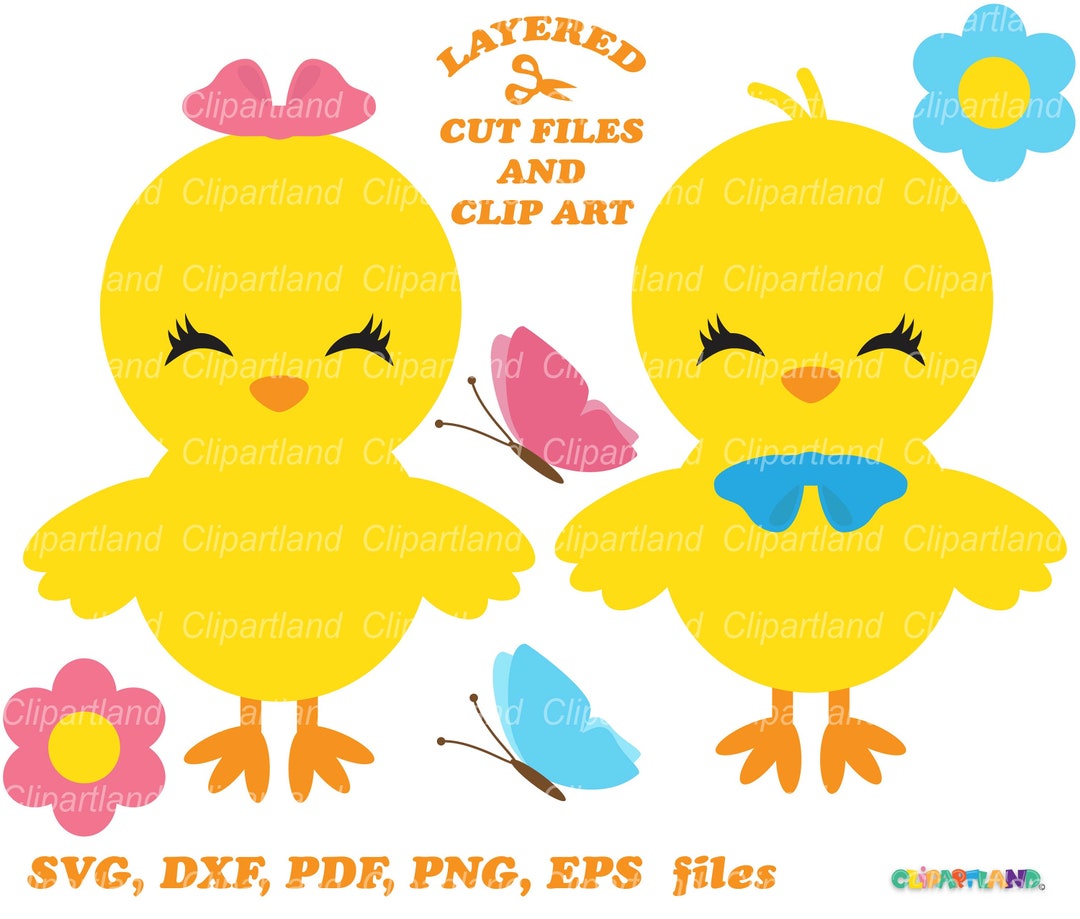 INSTANT Download. Little Easter Chick Cut File and Clip Art. Personal ...