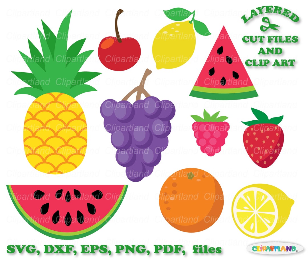 INSTANT Download. Summer Juicy Delicious Fruits Cut File and Clip Art ...