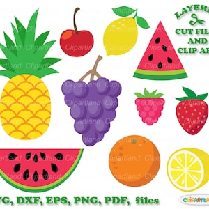 INSTANT Download. Summer Juicy Delicious Fruits Cut File and Clip Art ...