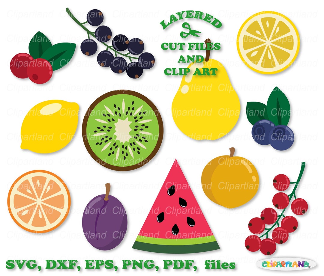INSTANT Download. Summer Juicy Delicious Fruits and Berries Cut File ...