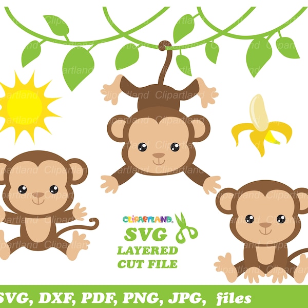 Baby Girl Monkey - Etsy