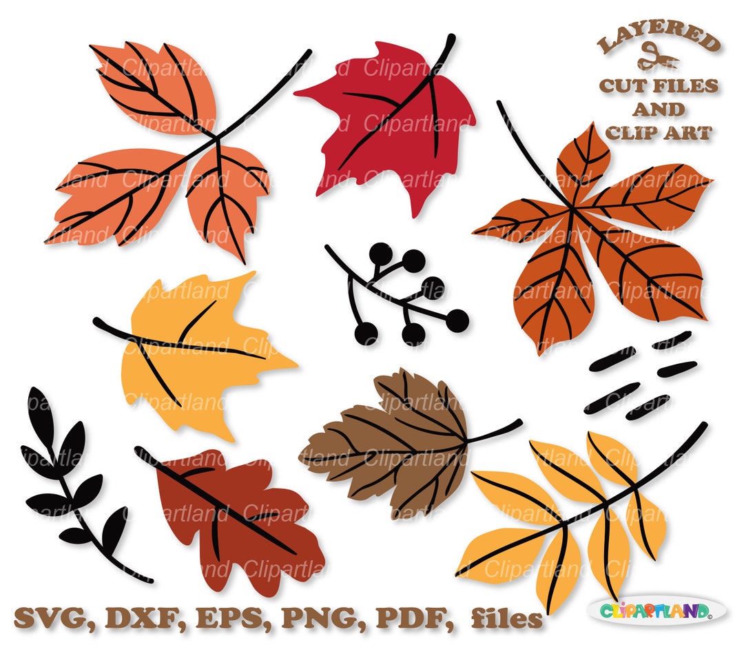 Fall Leaves SVG Bundle: Cut File & Clipart (commercial License) - Etsy