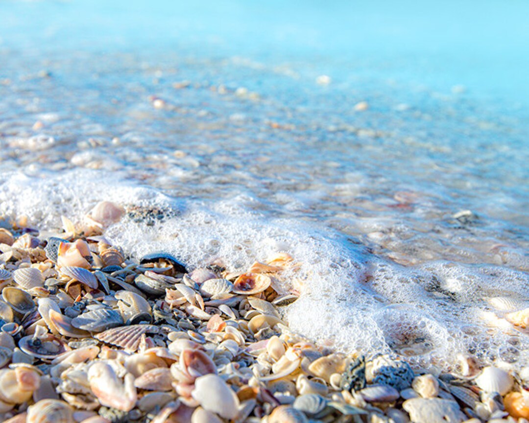 Anna Maria Island Print, Coastal Decor, Beach Photography, Beach Shells ...