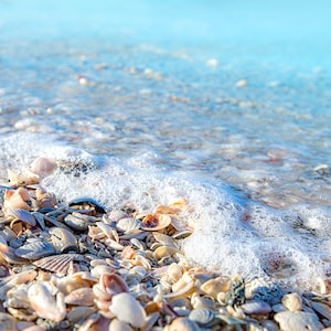 Anna Maria Island Print, Coastal Decor, Beach Photography, Beach Shells ...