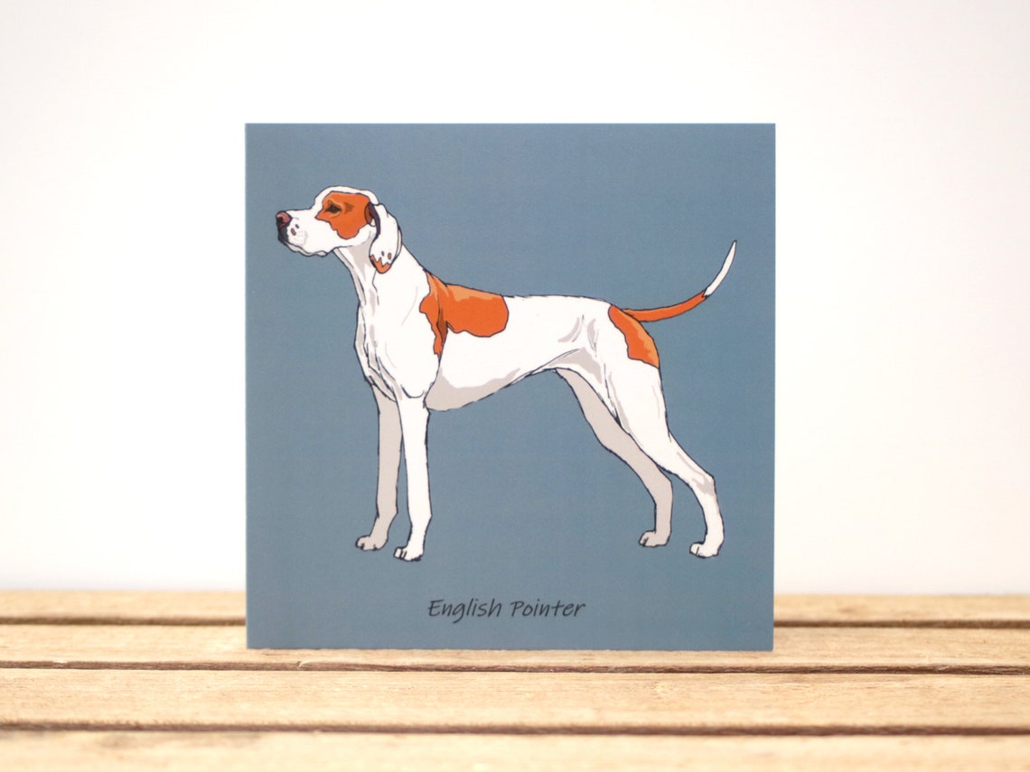 English Pointer dog card Birthday or thank you card Card | Etsy