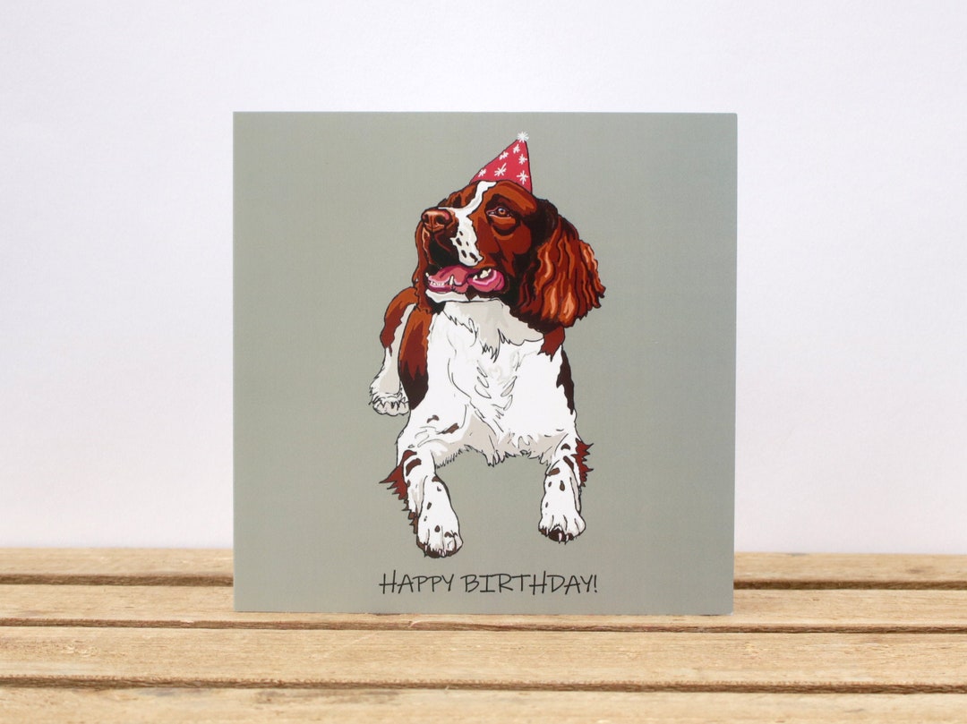 Springer Spaniel Dog Birthday Card Card From the Dog Dog Mom/dad Card ...