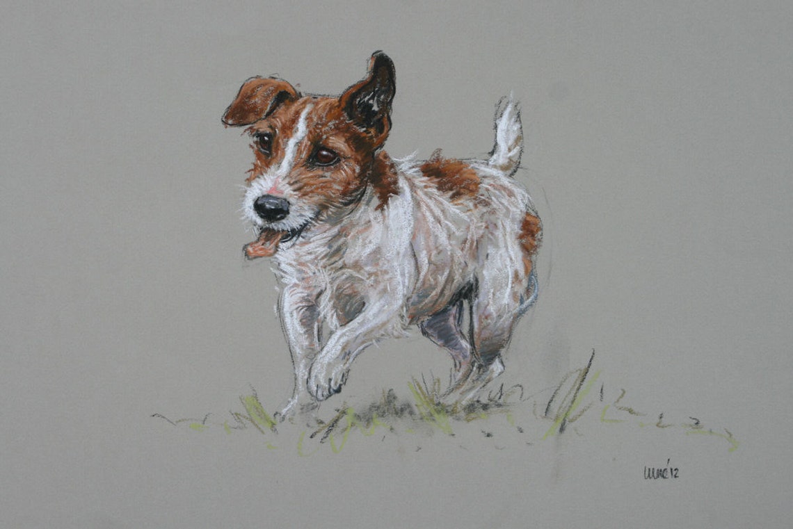 Jack Russell Terrier Dog Art Print Dog Wall Art Pet Art LE - Etsy