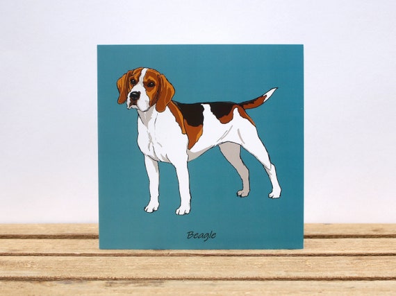 Beagle Dog Card Thank You Card Dog Birthday Card Beagle | Etsy