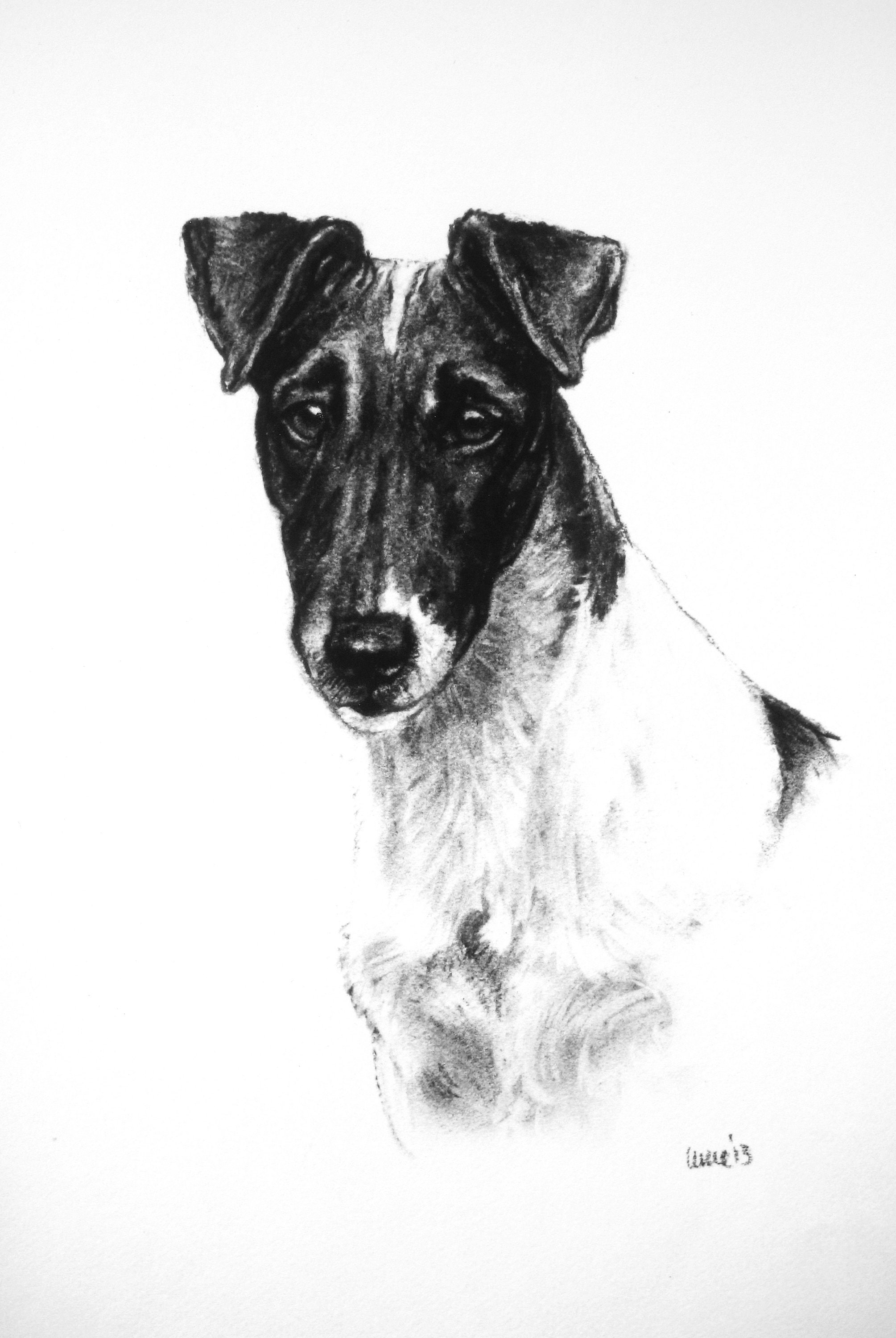 Smooth Fox Terrier Dog Print Dog Portrait Charcoal Drawing - Etsy Canada