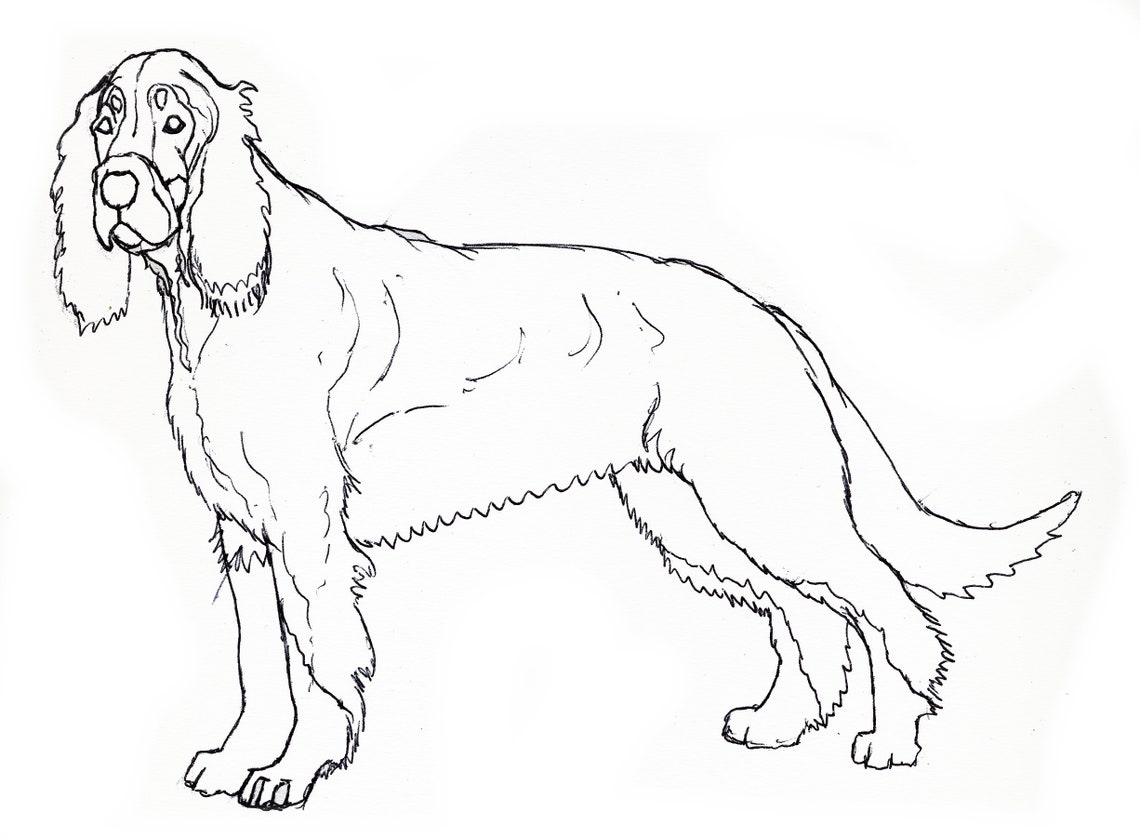 Gordon Setter dog card dog lover gift Blank inside birthday | Etsy