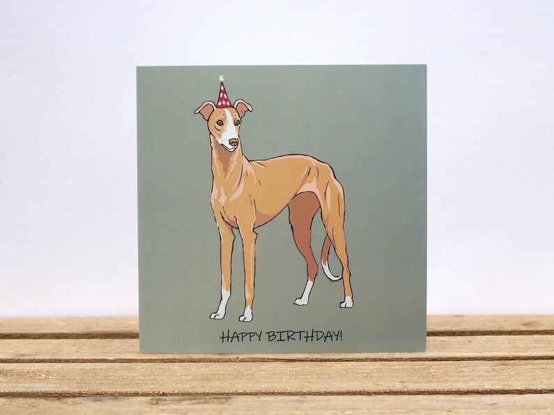 Whippet Dog Birthday Card Whippet Lover Blank Card Card From the Dog ...
