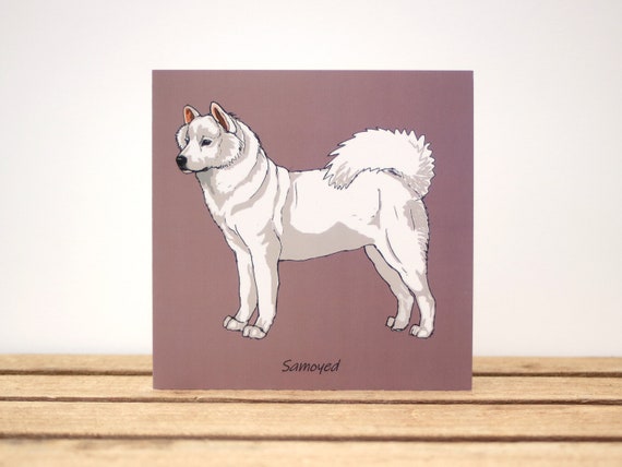 Samoyed dog Birthday card Thank you card Card from the | Etsy