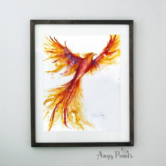 Phoenix Bird Drawings Color