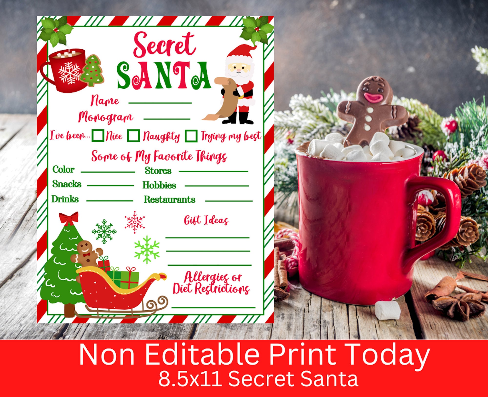 Secret Santa Gift Exchange Questionnaire Survey Holiday Gift - Etsy