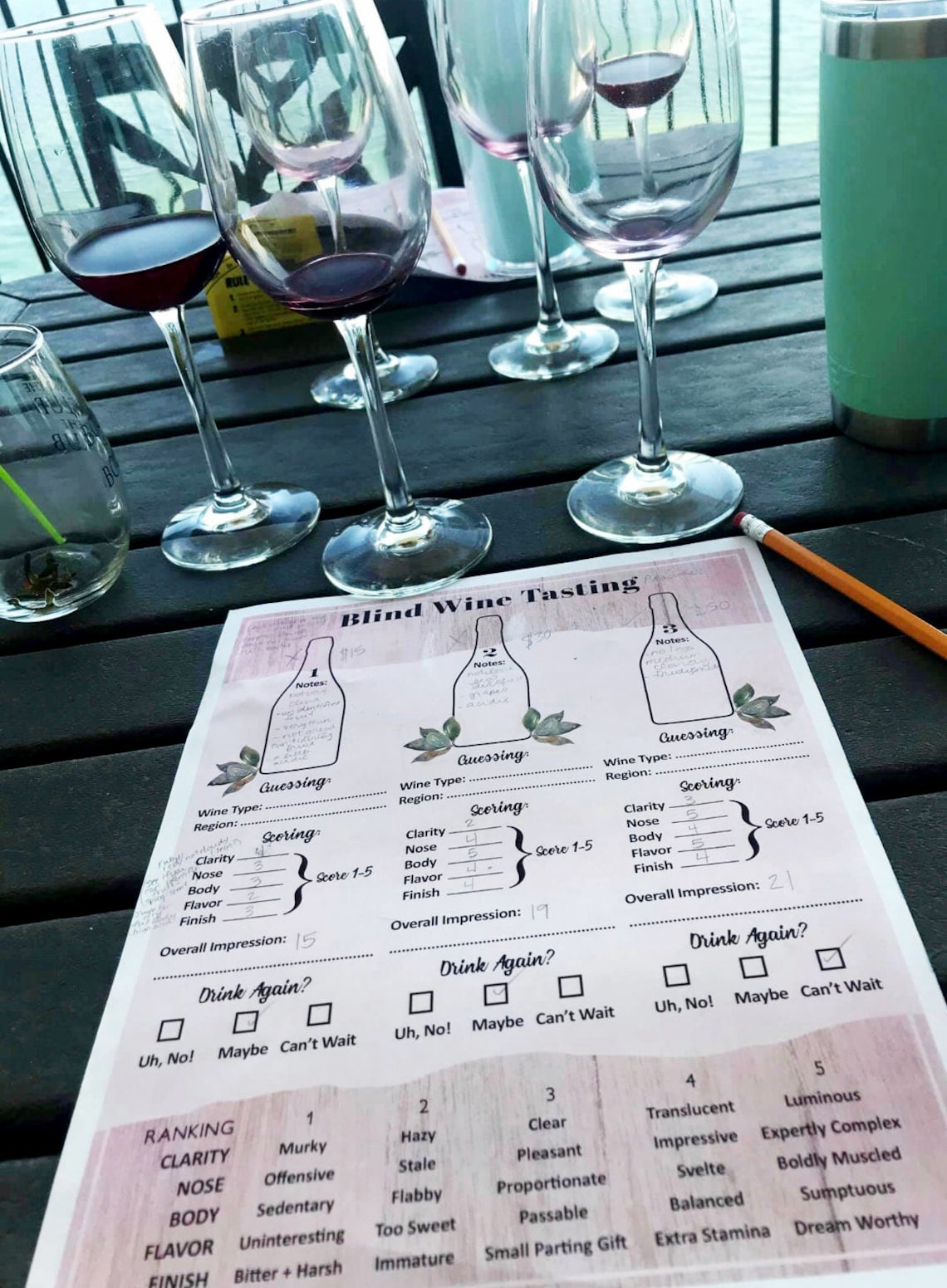 Blind Wine Tasting Rating Sheets Wine Tasting Party Wine | Etsy