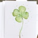 Postcards, Clover Postcards, Four Leaf Clover Cards, St Patricks Cards ...