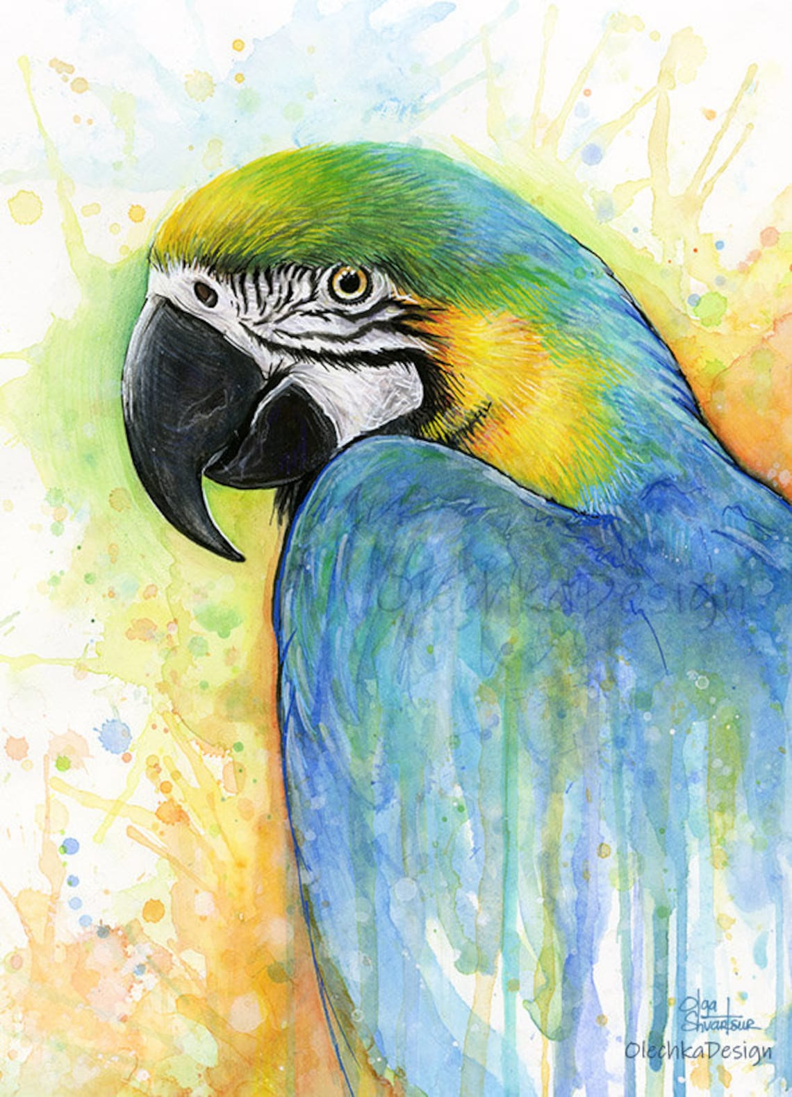 Macaw Painting Macaw Art Macaw Print Parrot Art Macaw | Etsy