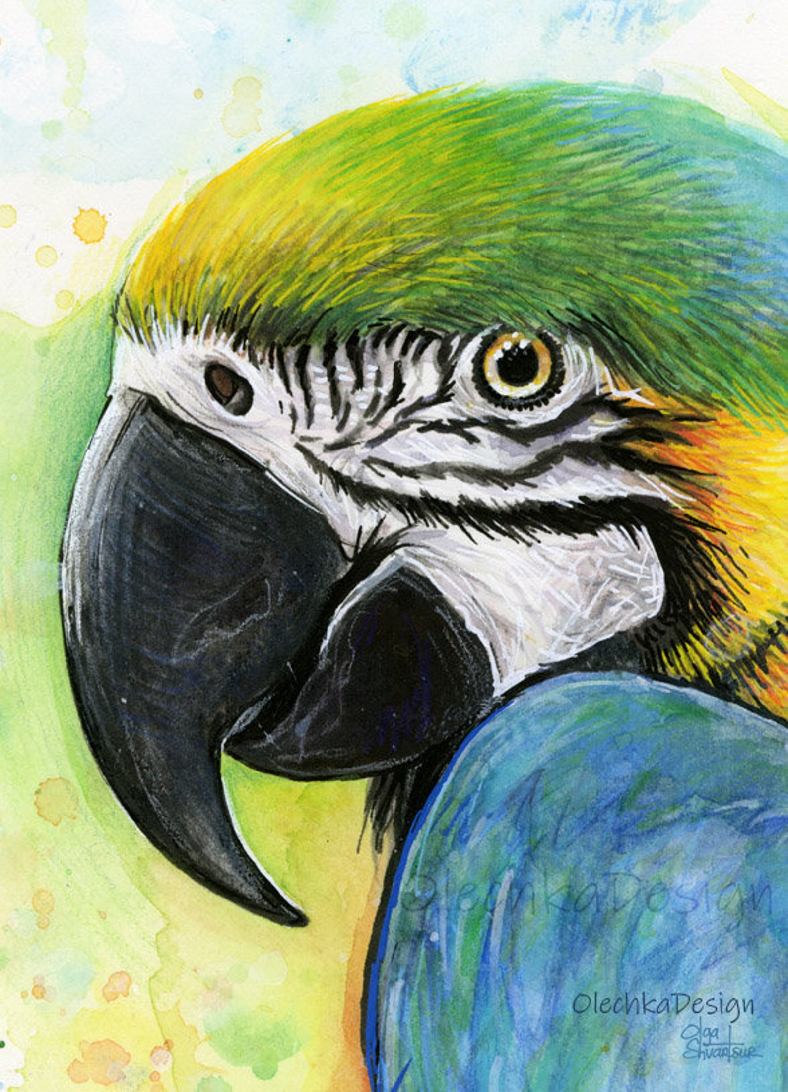 Macaw Painting Macaw Art Macaw Print Parrot Art Macaw - Etsy