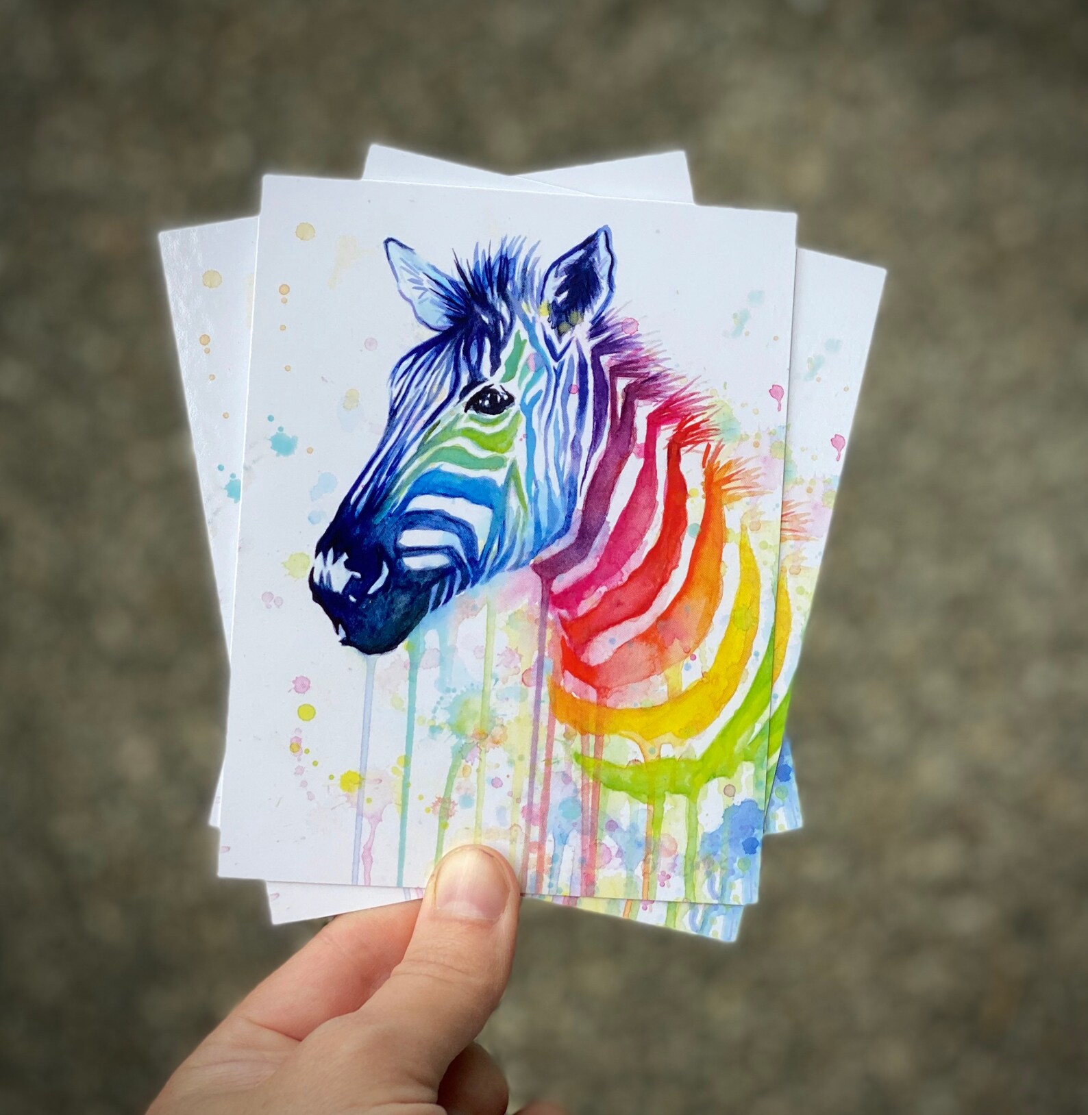 Rainbow Zebra Card Zebra Postcards Zebra Cards Colorful - Etsy
