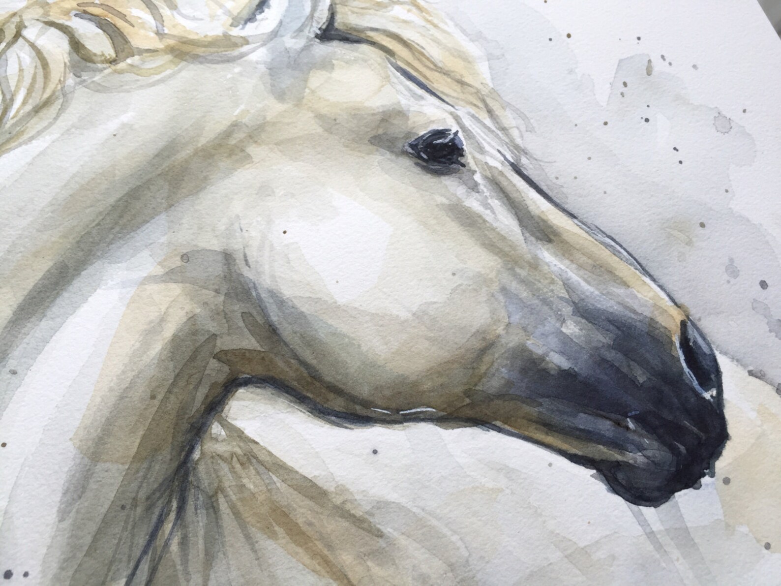 White Horse Watercolor Painting Original Artwork Watercolor | Etsy
