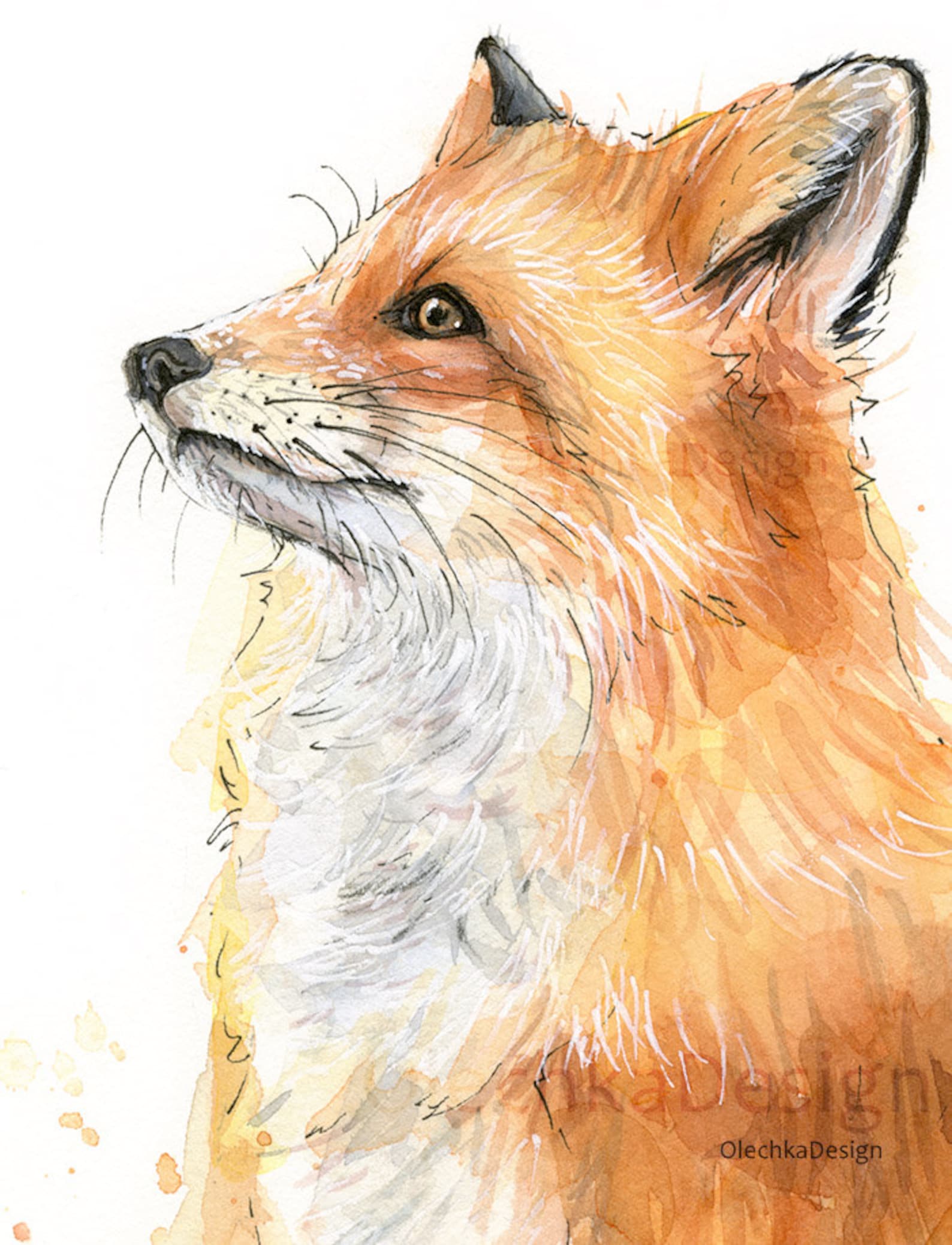 Fox Art Fox Art Print Fox Print Watercolor Fox Animal - Etsy