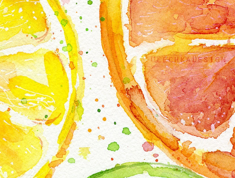 Citrus Fruit Watercolor Art Print Food Painting Lime | Etsy