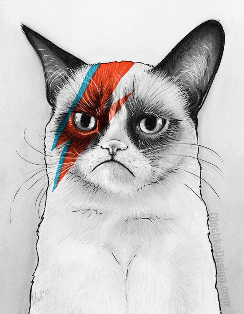 Funny Cat Art Grumpy Cat Grumpy Cat Art Grumpy Cat | Etsy