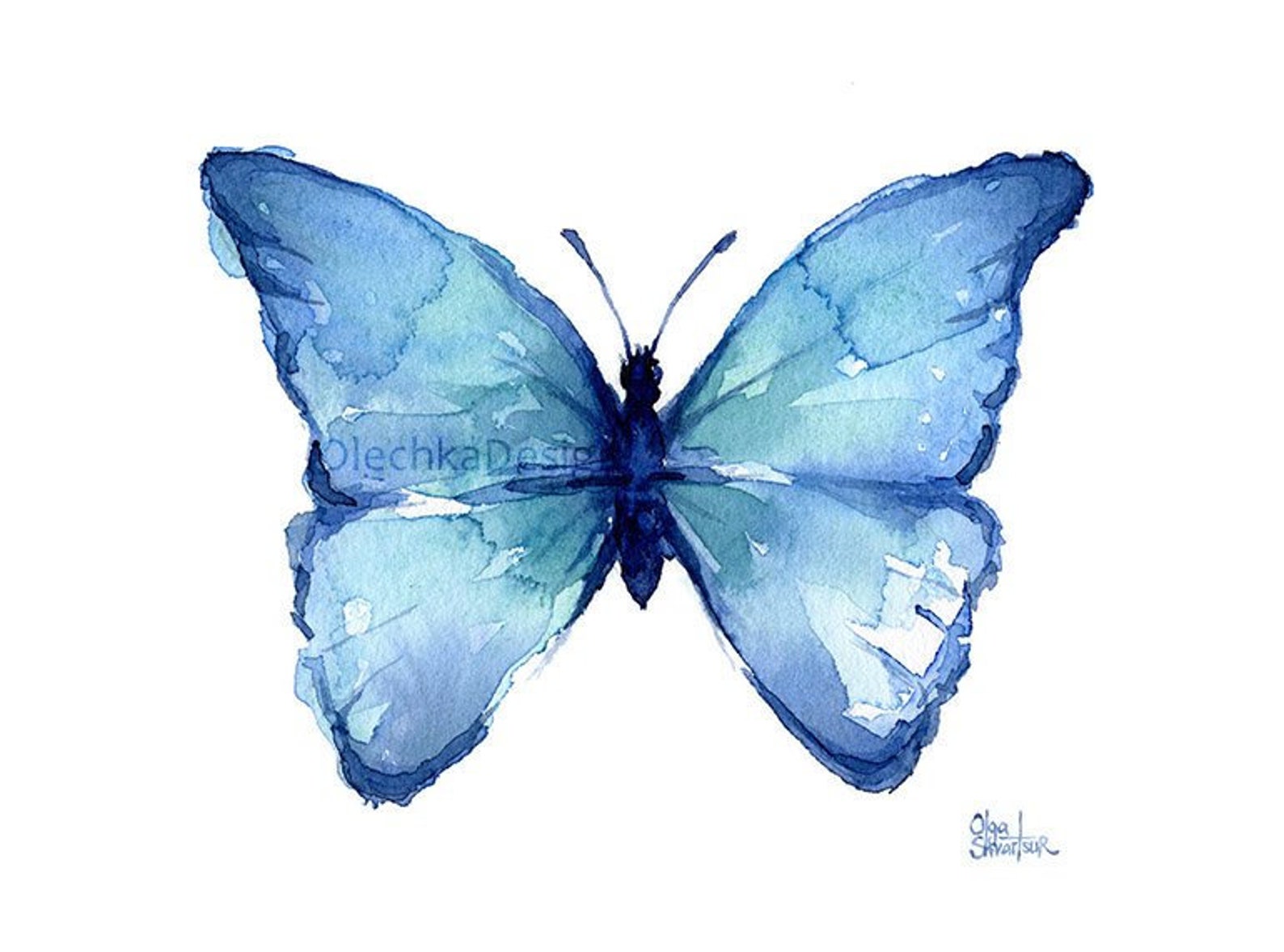 Butterfly Wall Art, Butterfly Print, Blue Butterfly, Butterfly ...