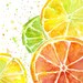 Citrus Fruit Watercolor, Art Print, Food Painting, Lime, Oranges ...