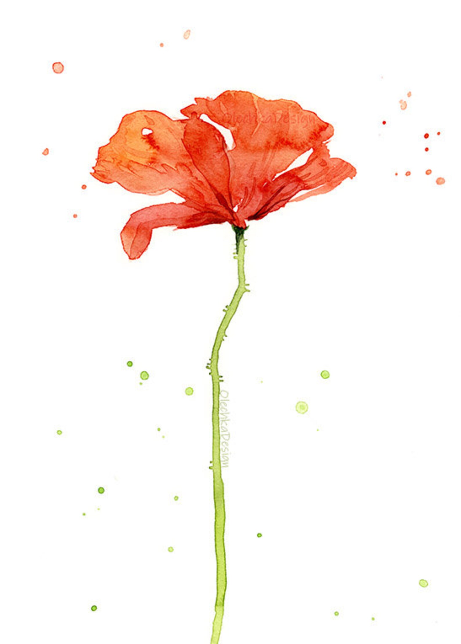 Poppy Print Set Poppy Watercolor Painting Red Poppy Wall | Etsy