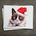 Cat Christmas Cards Grumpy Cat Santa Postcard Grumpy Santa - Etsy