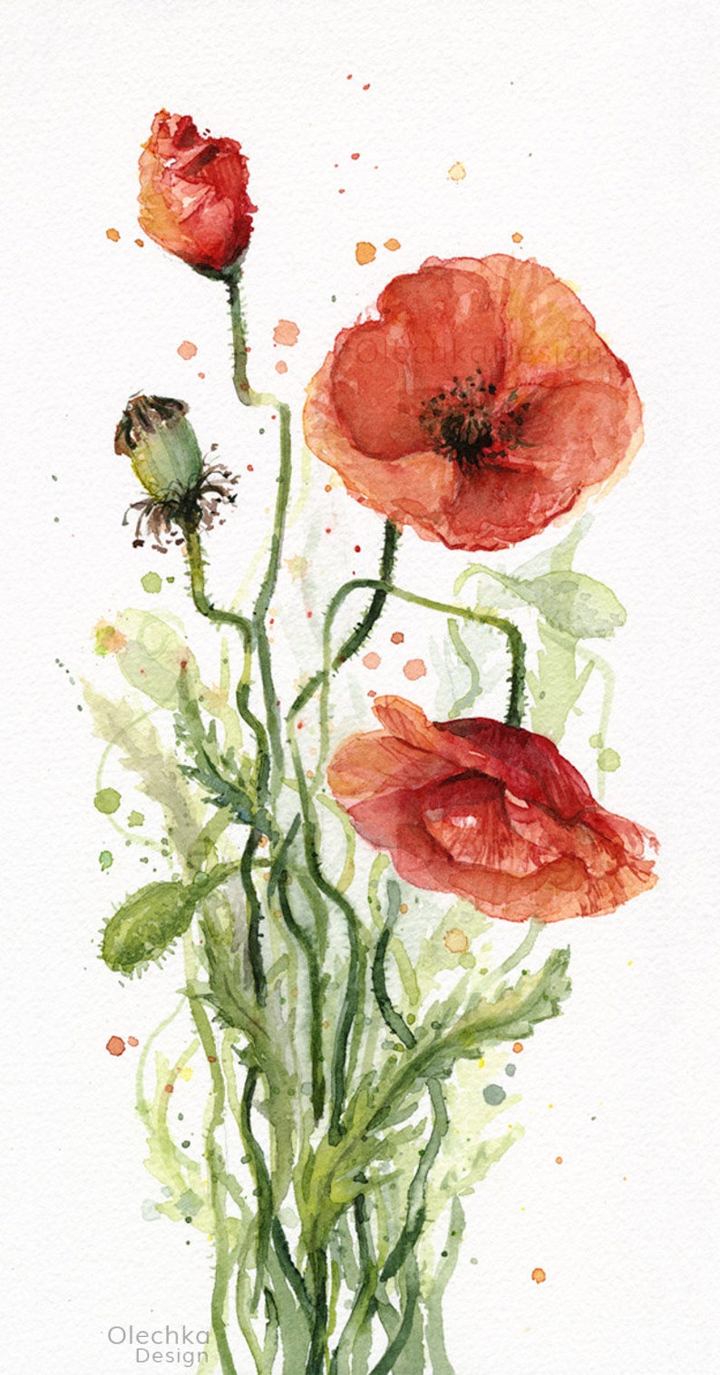 Poppy Wall Art Poppy Watercolor Poppy Art Poppy Art Print - Etsy Canada