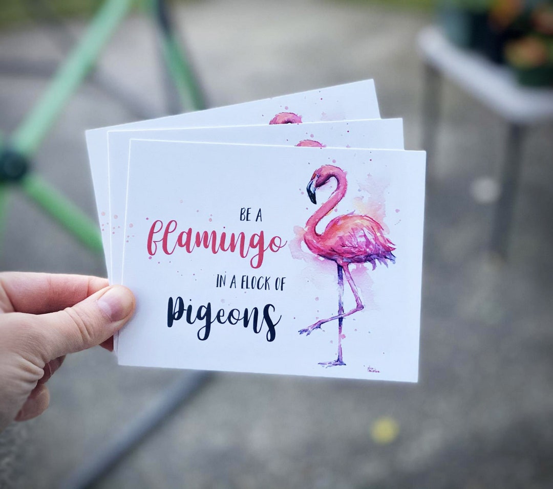 Flamingo Postcards, Be A Flamingo in a Flock of Pigeons, Flamingo Cards ...